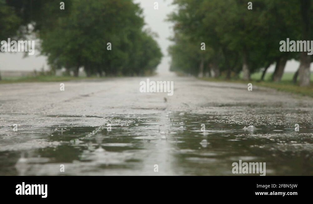 Wet season 1080p Stock Videos & Footage - HD and 4K Video Clips - Alamy