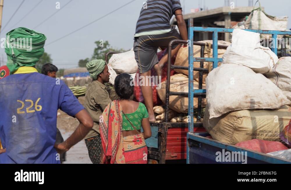 Female labour india Stock Videos & Footage - HD and 4K Video Clips - Alamy