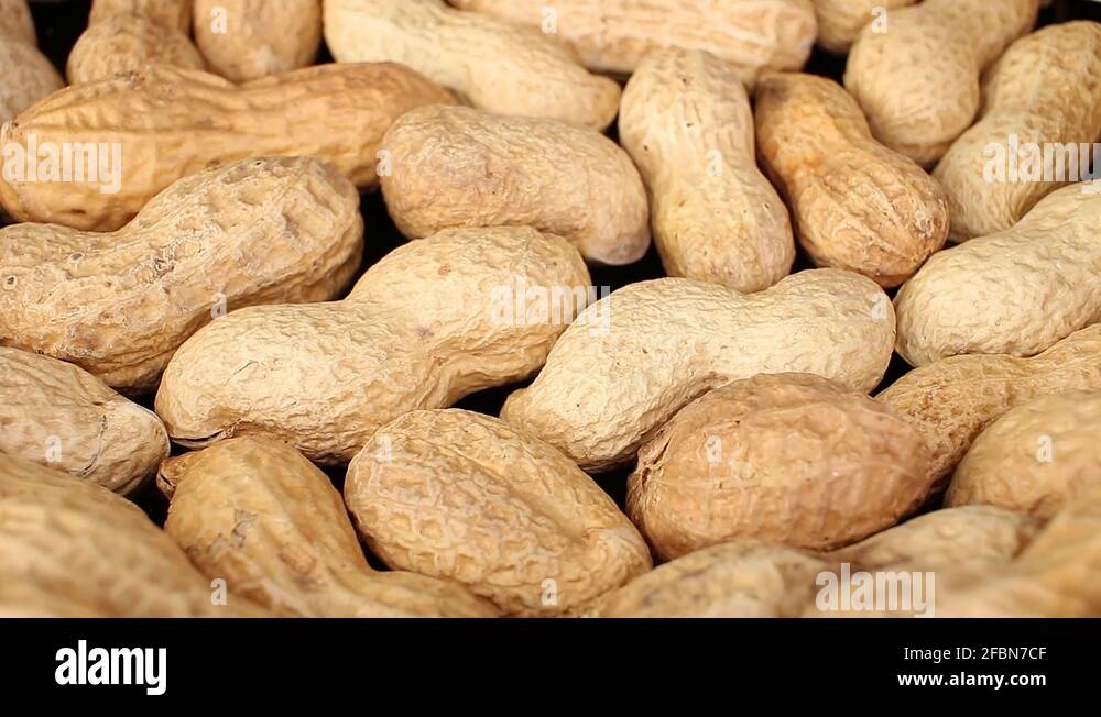 Peanuts groundnut groundnuts Stock Videos & Footage - HD and 4K Video ...