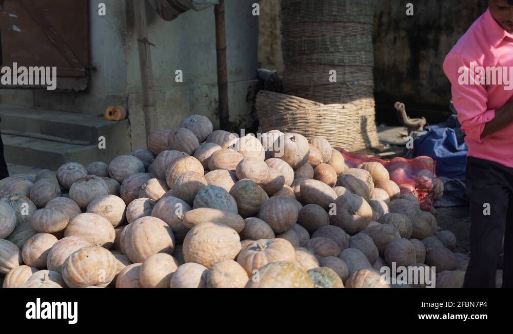 Assam crop field Stock Videos & Footage - HD and 4K Video Clips - Alamy