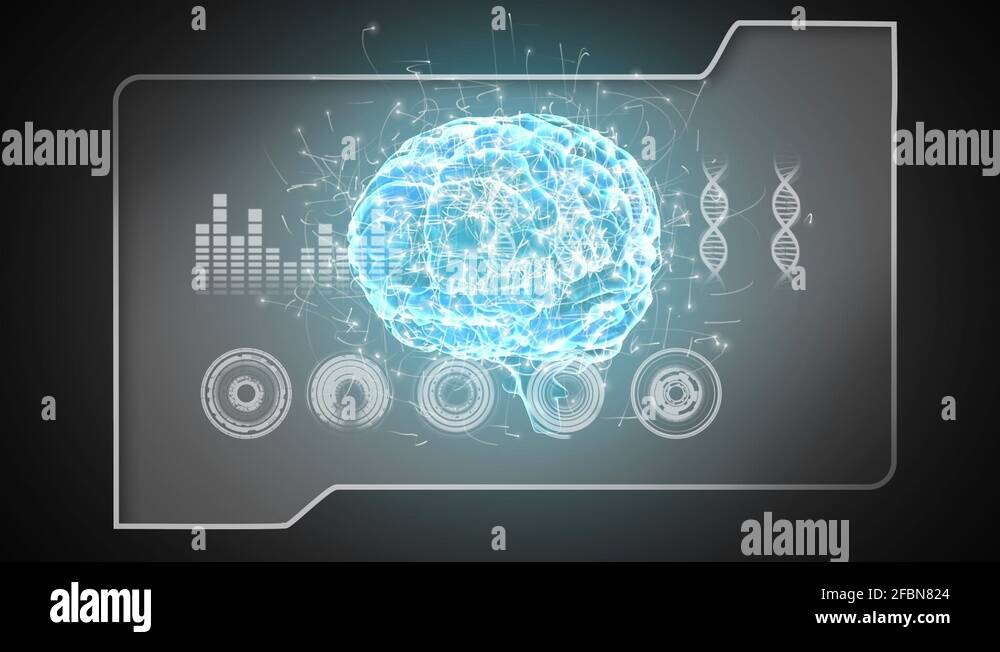Brain diagram cortex Stock Videos & Footage - HD and 4K Video Clips - Alamy