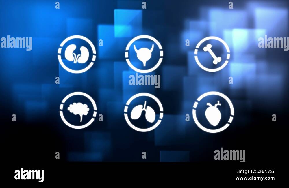 Symbols human Stock Videos & Footage - HD and 4K Video Clips - Alamy