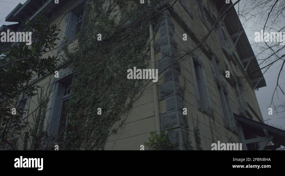 Haunted tree branches Stock Videos & Footage - HD and 4K Video Clips ...