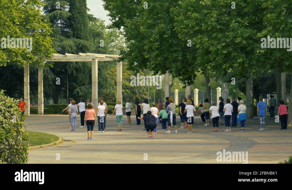 Exercise park group Stock Videos & Footage - HD and 4K Video Clips - Alamy
