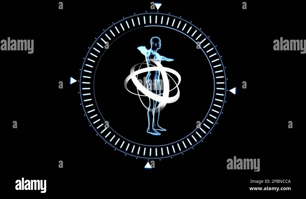 Study of the human form Stock Videos & Footage - HD and 4K Video Clips ...