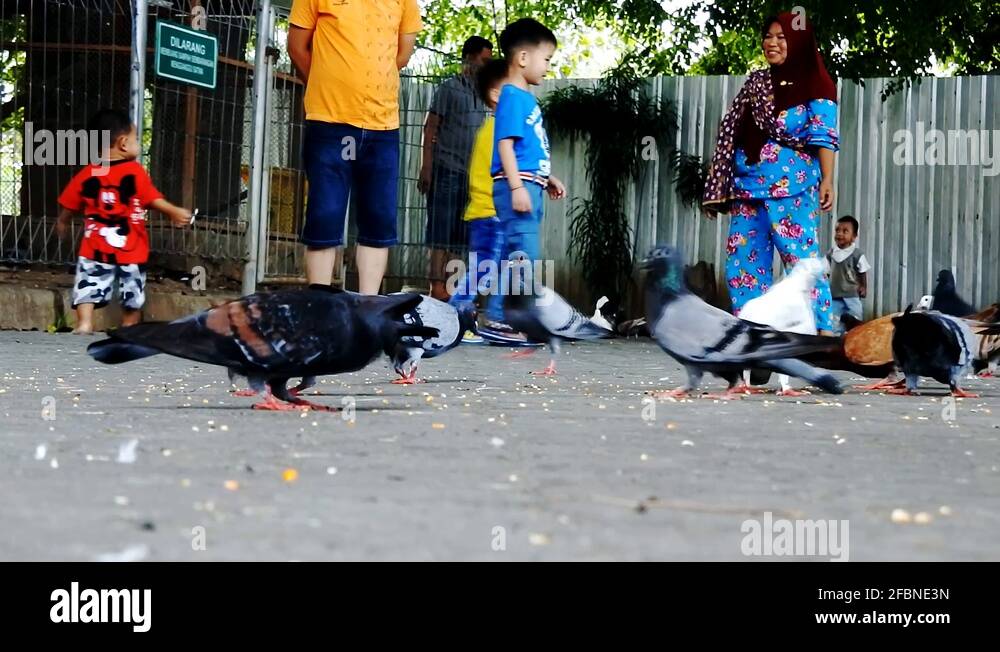 Kid eat rock Stock Videos & Footage - HD and 4K Video Clips - Alamy