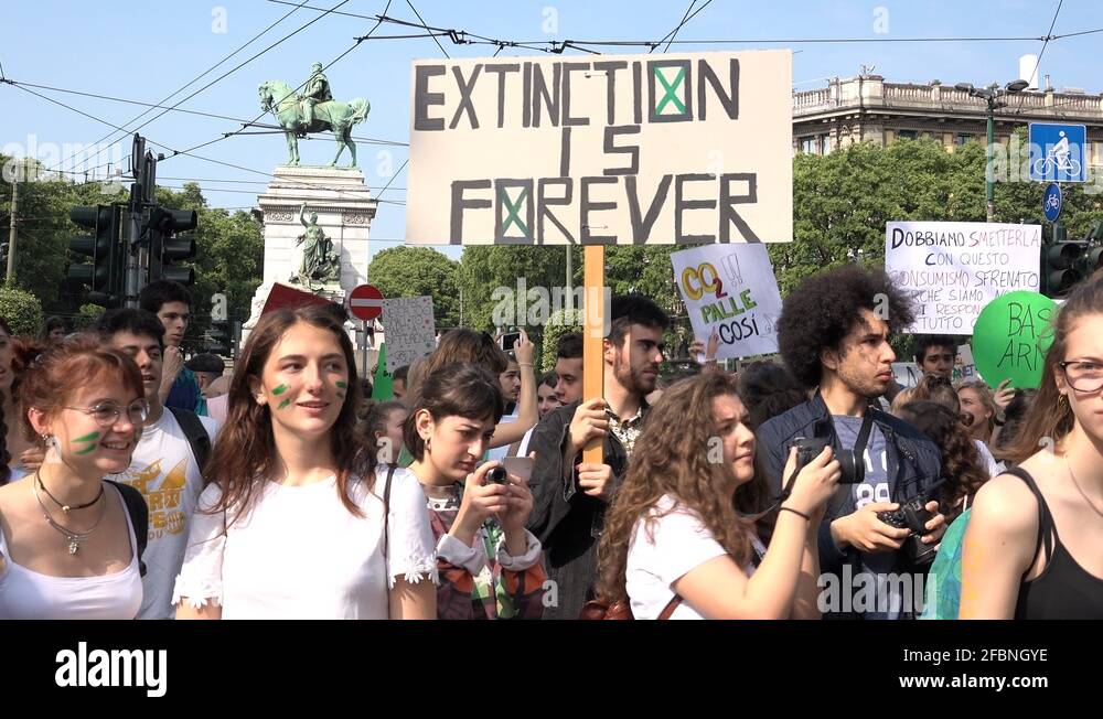Demonstration signs Stock Videos & Footage - HD and 4K Video Clips - Alamy