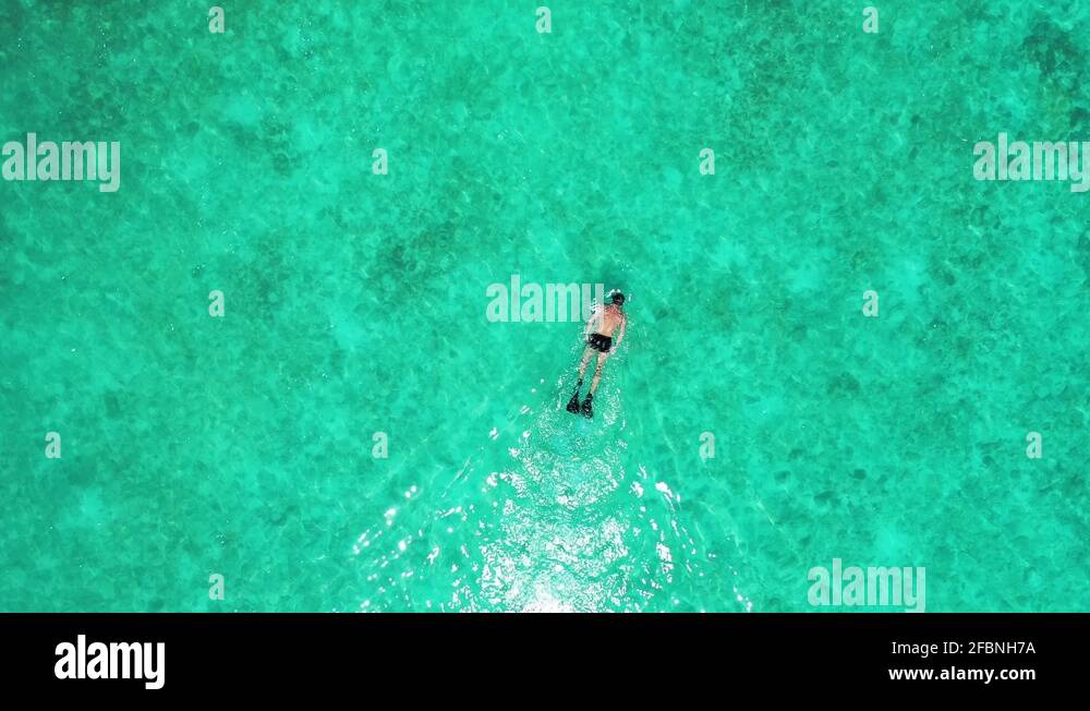 Diving in blue lagoon in Stock Videos & Footage - HD and 4K Video Clips ...