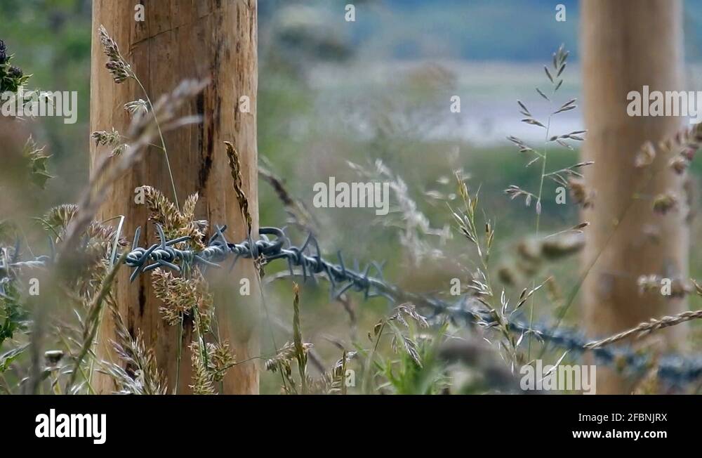 Timber post and wire boundary fence Stock Videos & Footage - HD and 4K ...