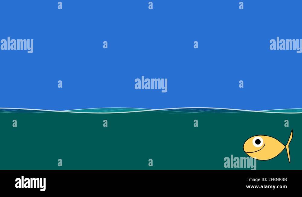 Fish ani Stock Videos & Footage - HD and 4K Video Clips - Alamy