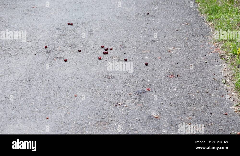 Concrete falling off Stock Videos & Footage - HD and 4K Video Clips - Alamy