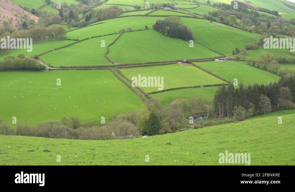 Green landscape in wales Stock Videos & Footage - HD and 4K Video Clips ...