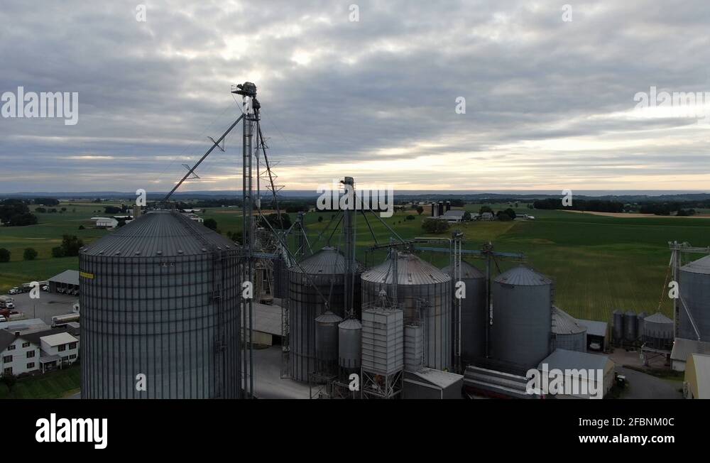 Animal mill grain Stock Videos & Footage - HD and 4K Video Clips - Alamy