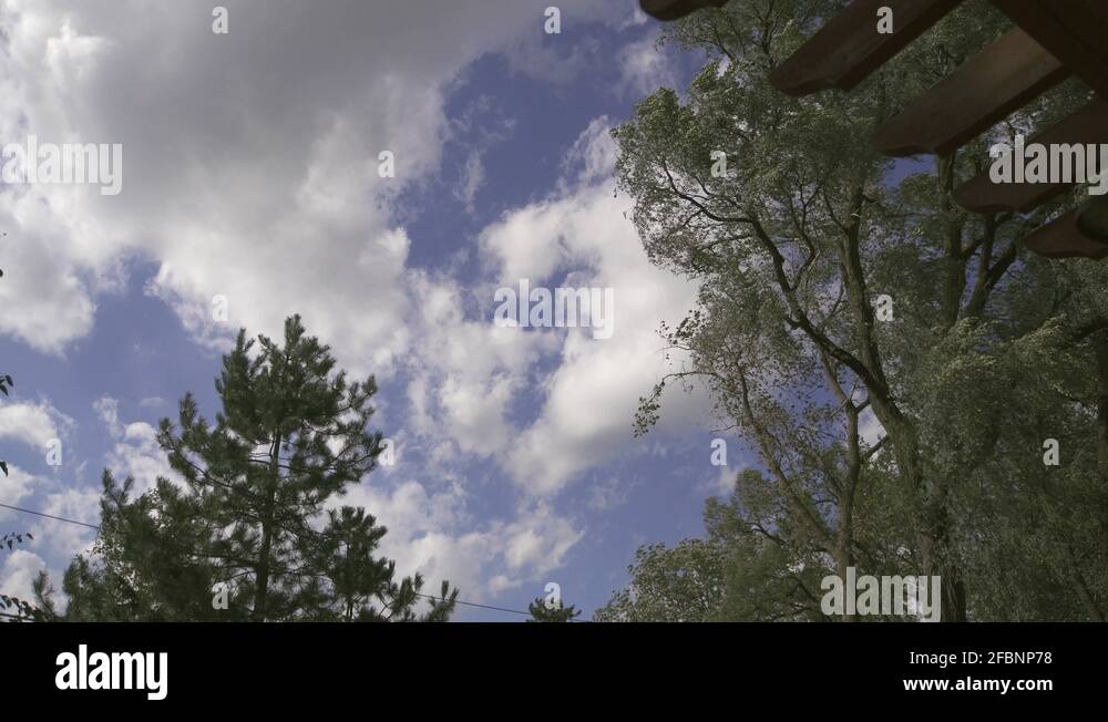 Windy weather trees blowing Stock Videos & Footage - HD and 4K Video ...