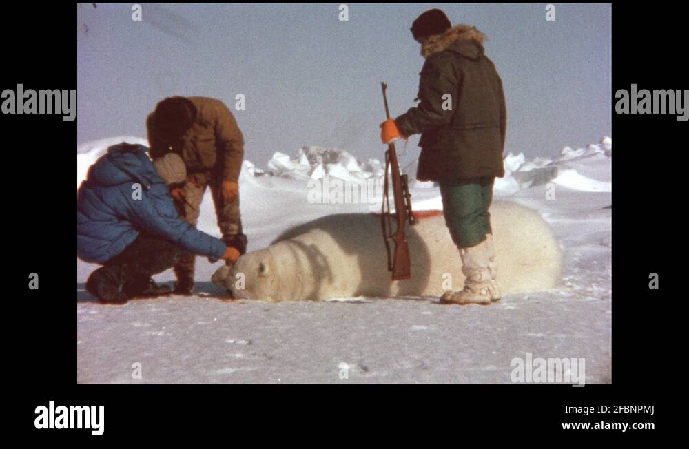 Hunter hunters Stock Videos & Footage - HD and 4K Video Clips - Alamy