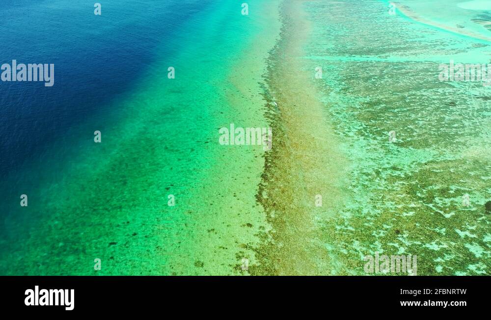 Costal ecosystem Stock Videos & Footage - HD and 4K Video Clips - Alamy