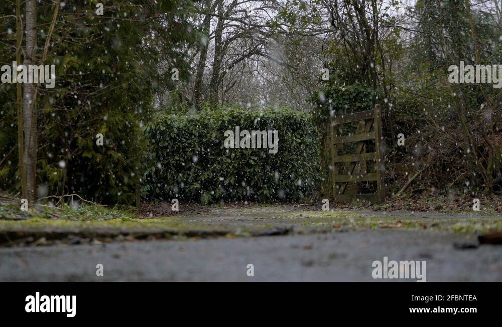 Snow Falling on an Old English Driveway on a Cold Winters Morning Stock ...