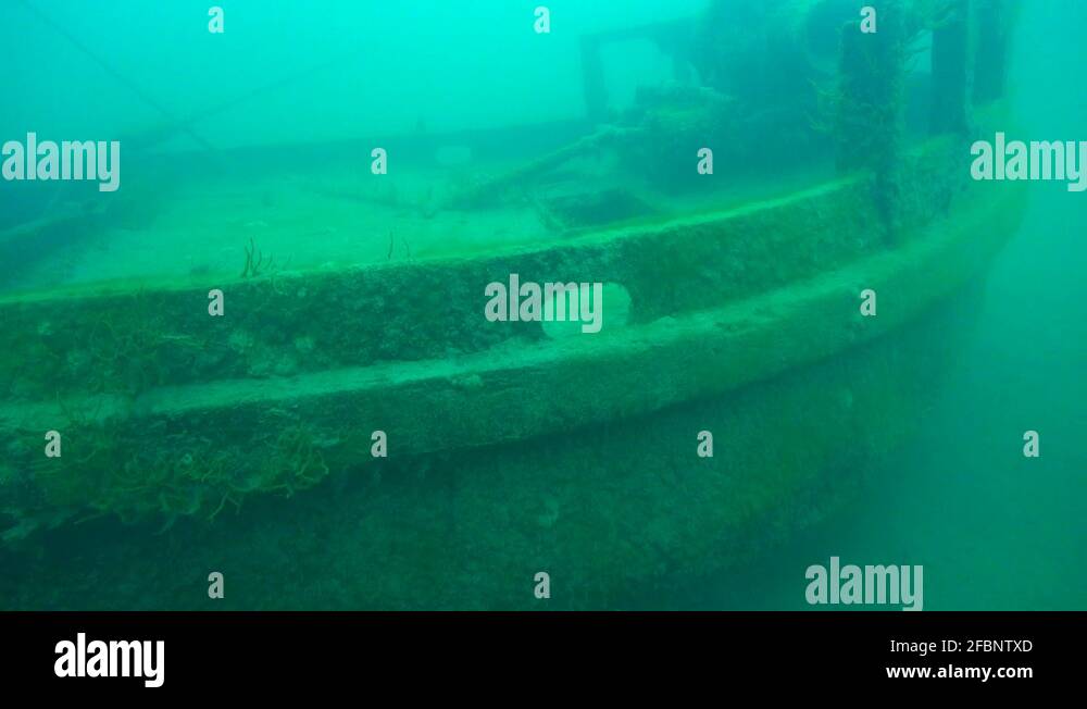 Bow shipwreck on bottom Stock Videos & Footage - HD and 4K Video Clips ...