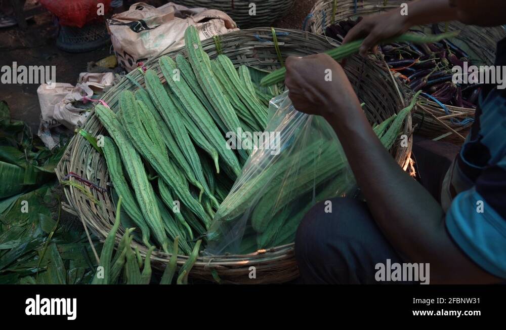 Plastic gourd Stock Videos & Footage - HD and 4K Video Clips - Alamy