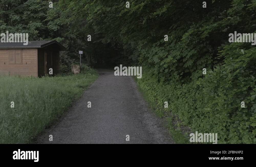 Walking straight Stock Videos & Footage - HD and 4K Video Clips - Alamy