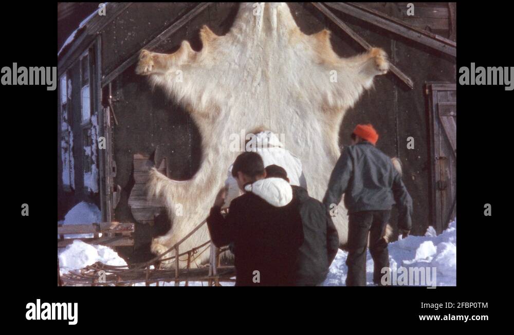 1960s: Men and boys push dog sled from shed with giant bear pelt Stock ...