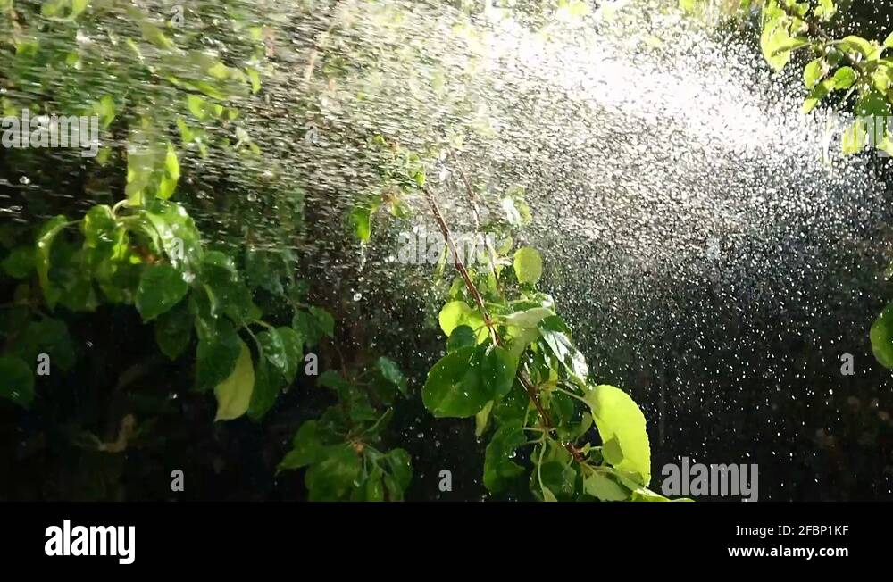 Joy sun background Stock Videos & Footage - HD and 4K Video Clips - Alamy