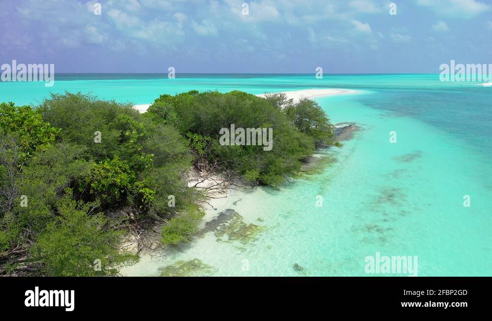 Desert island vegetation Stock Videos & Footage - HD and 4K Video Clips ...