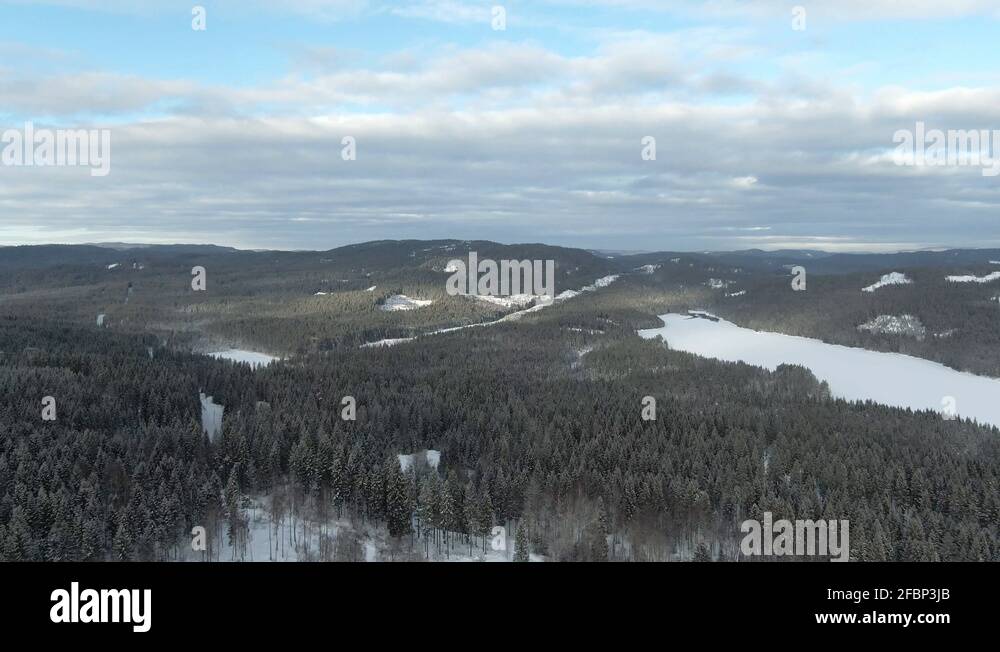 Altitude trees Stock Videos & Footage - HD and 4K Video Clips - Alamy