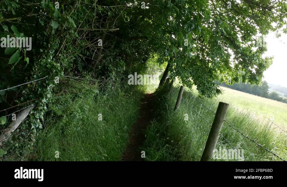 Turning pathway Stock Videos & Footage - HD and 4K Video Clips - Alamy