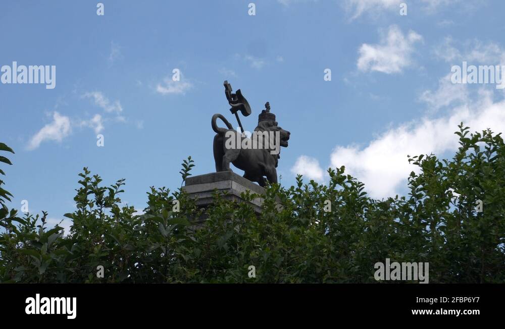 Lion Statue in Addis Ababa, symbol of the country Stock Video Footage ...