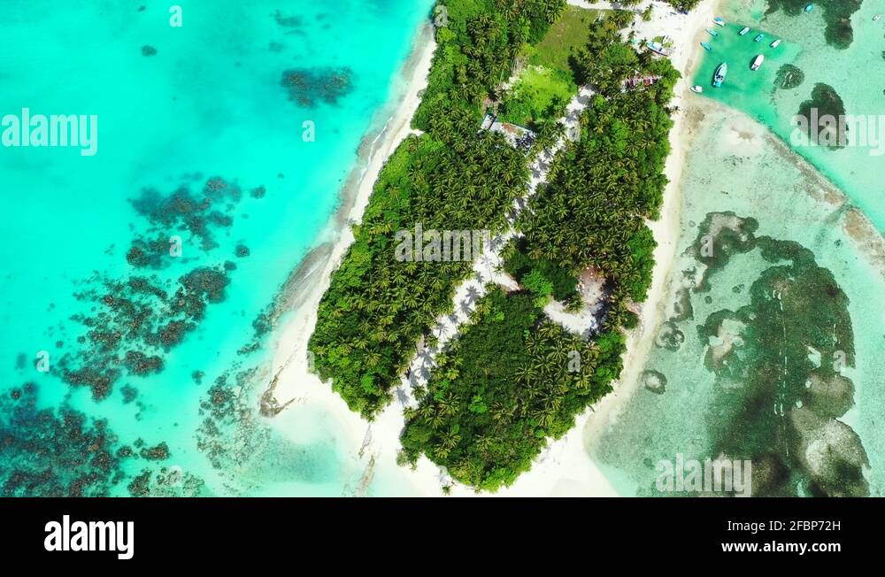 exotic small island with palm trees and white sand beaches in crystal ...