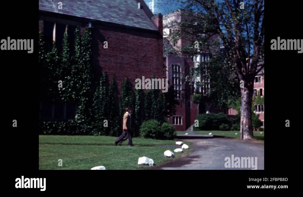 Lake school Stock Videos & Footage - HD and 4K Video Clips - Alamy