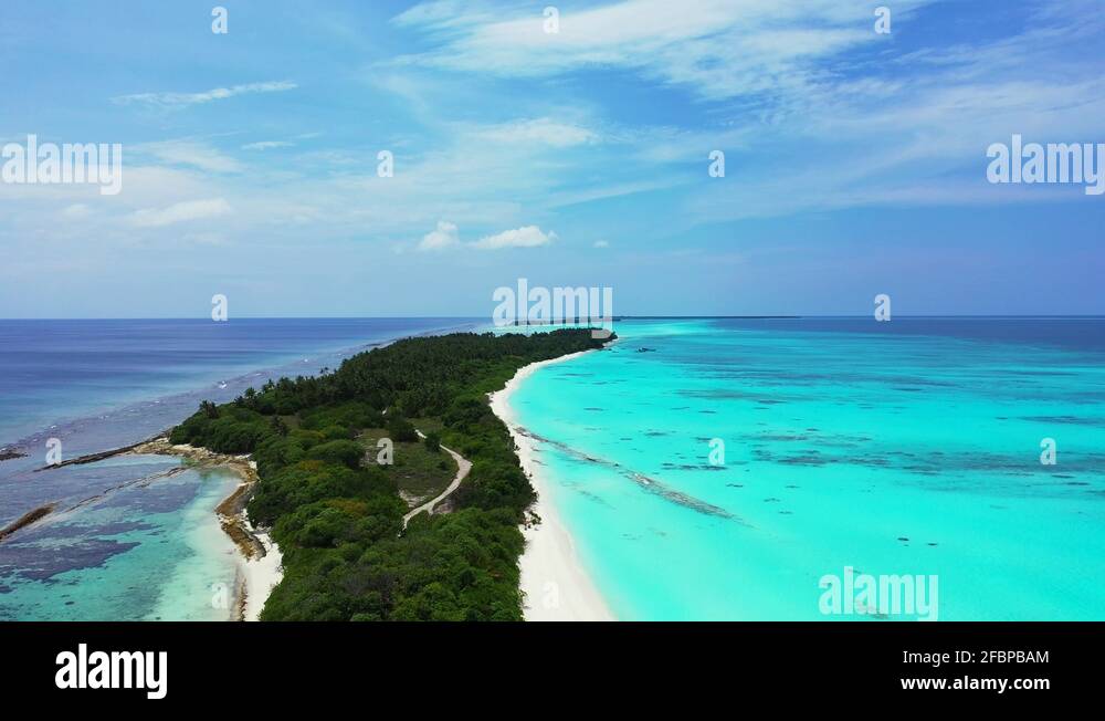 Long island birds Stock Videos & Footage - HD and 4K Video Clips - Alamy