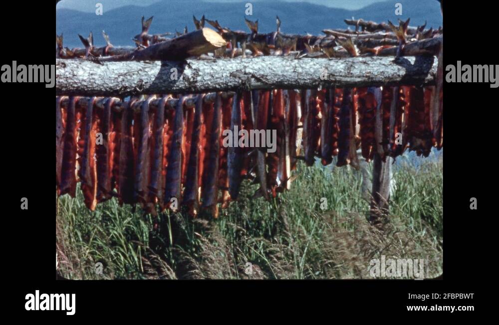 Fishing in alaska 1970s Stock Videos & Footage - HD and 4K Video Clips ...
