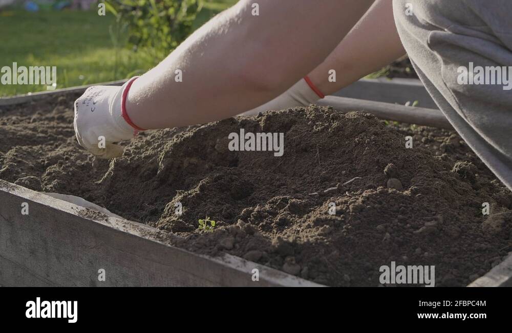 Clean weeds Stock Videos & Footage - HD and 4K Video Clips - Alamy