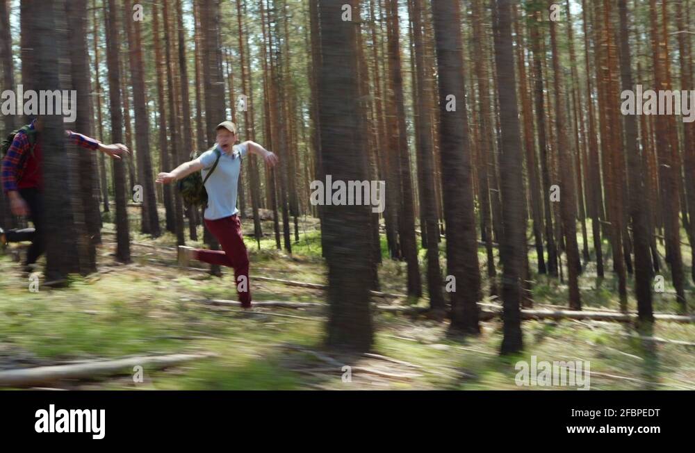 Forest beast Stock Videos & Footage - HD and 4K Video Clips - Alamy