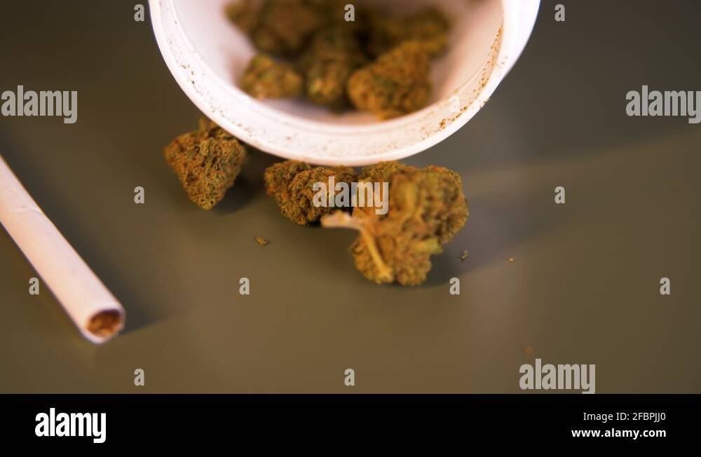 Hemp flower cigarette Stock Videos & Footage - HD and 4K Video Clips ...
