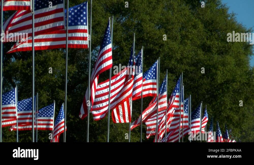 Flags lined Stock Videos & Footage - HD and 4K Video Clips - Alamy
