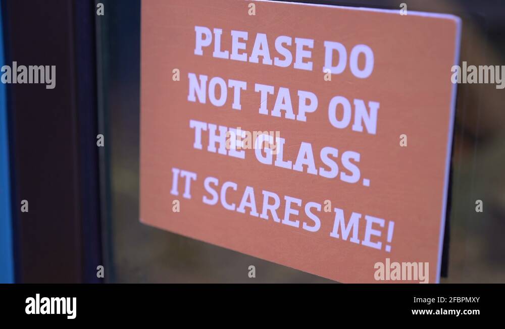 Animal exhibit sign Stock Videos & Footage - HD and 4K Video Clips - Alamy