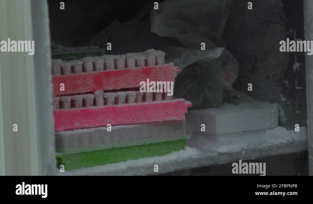 Inside laboratory Stock Videos & Footage - HD and 4K Video Clips - Alamy