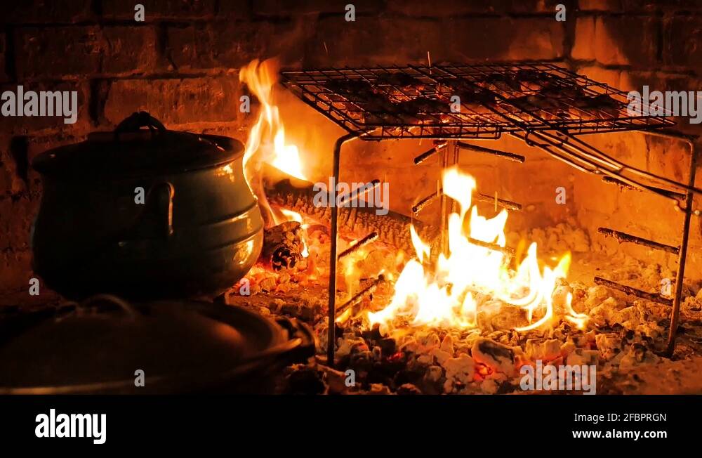 Fat lambs Stock Videos & Footage - HD and 4K Video Clips - Alamy