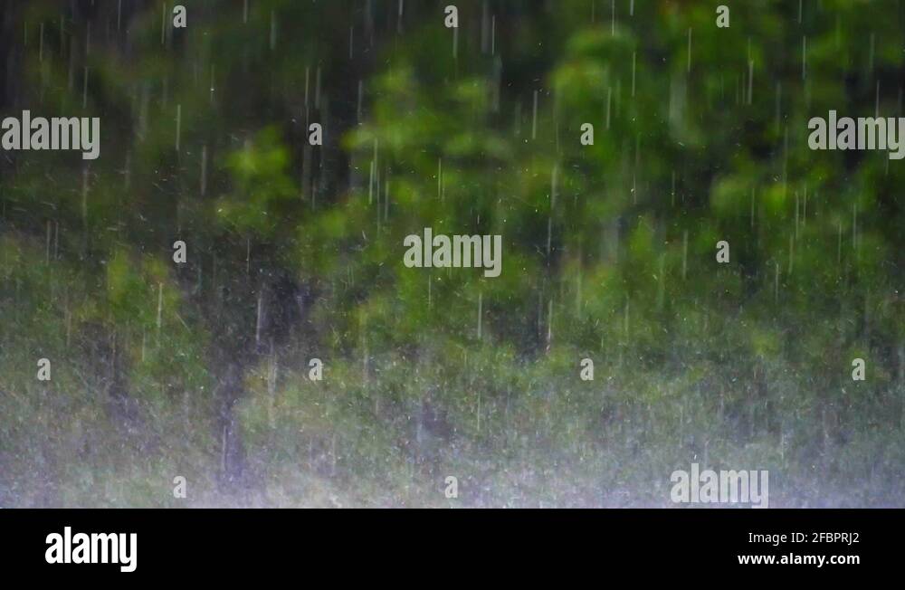 Raindrops Falling on the Ground During Heavy Rain Slow Motion Stock ...