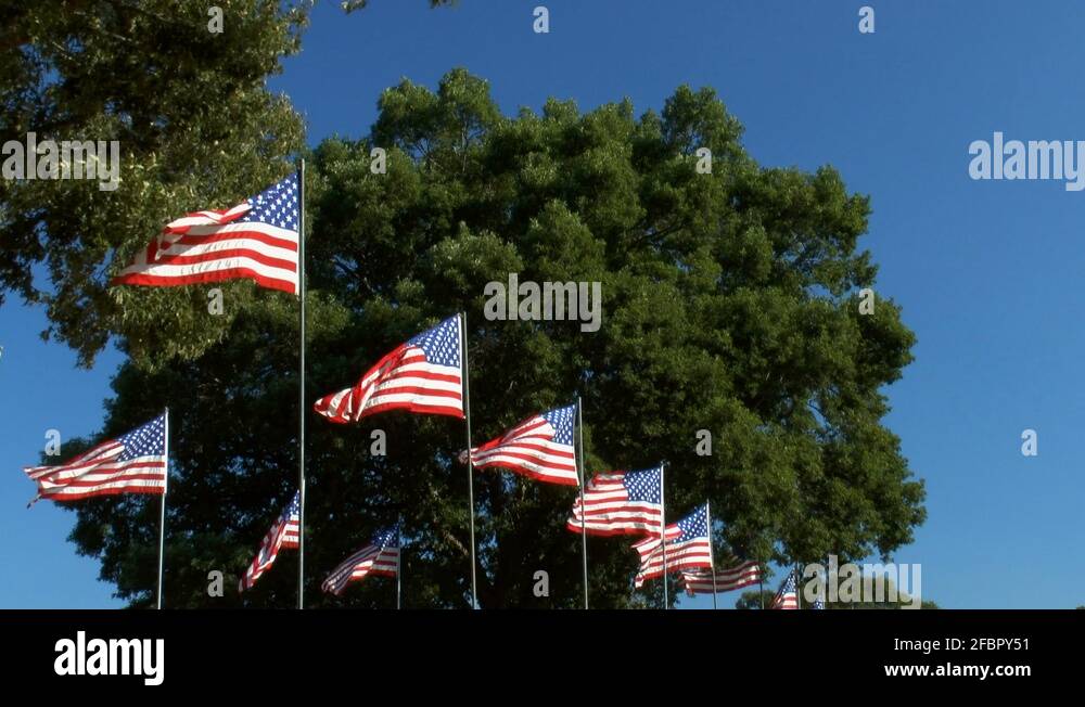 Group flags sky Stock Videos & Footage - HD and 4K Video Clips - Alamy