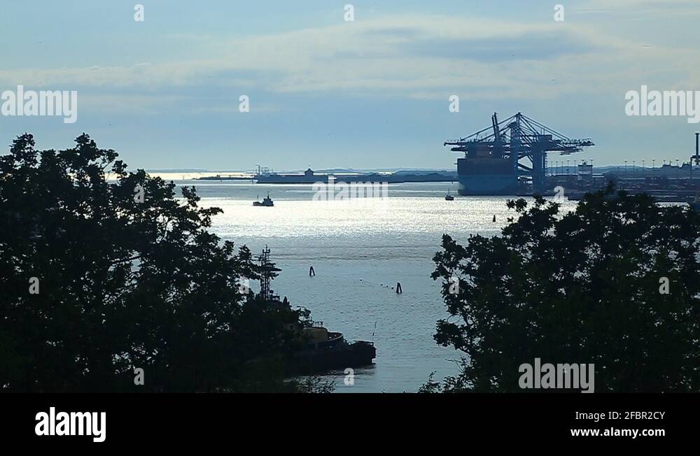 Container cranes and container ships in the evening Stock Videos ...