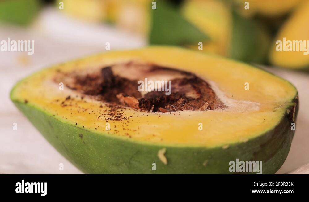 Mango pest Stock Videos & Footage - HD and 4K Video Clips - Alamy