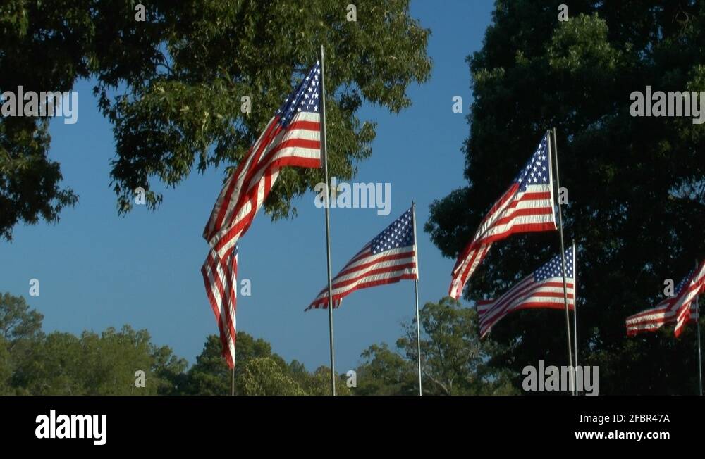 Group flags Stock Videos & Footage - HD and 4K Video Clips - Alamy