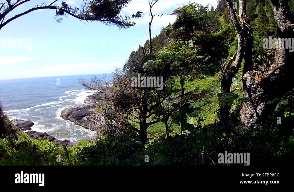 Stare look Stock Videos & Footage - HD and 4K Video Clips - Alamy