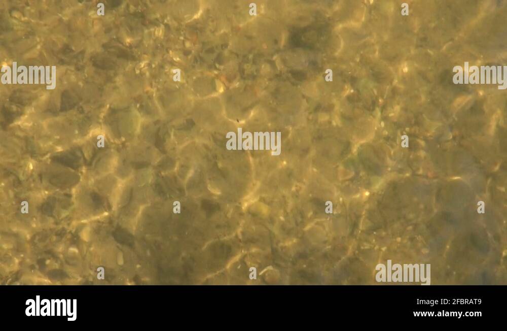 Shallow river water Stock Videos & Footage - HD and 4K Video Clips - Alamy