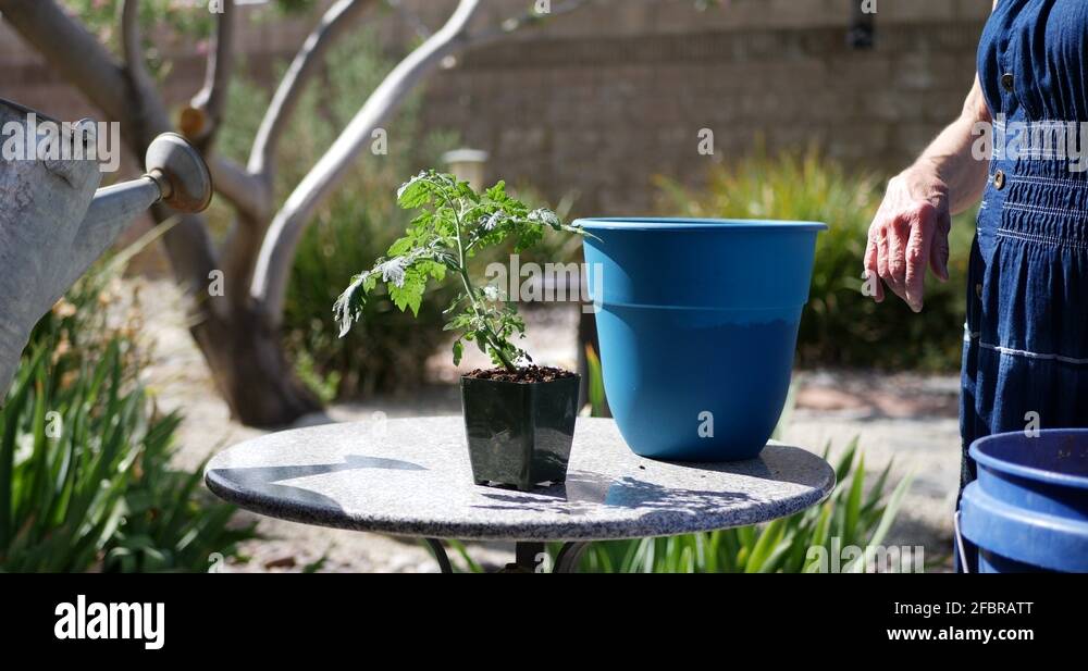 Adding fertilizer to soil Stock Videos & Footage - HD and 4K Video ...