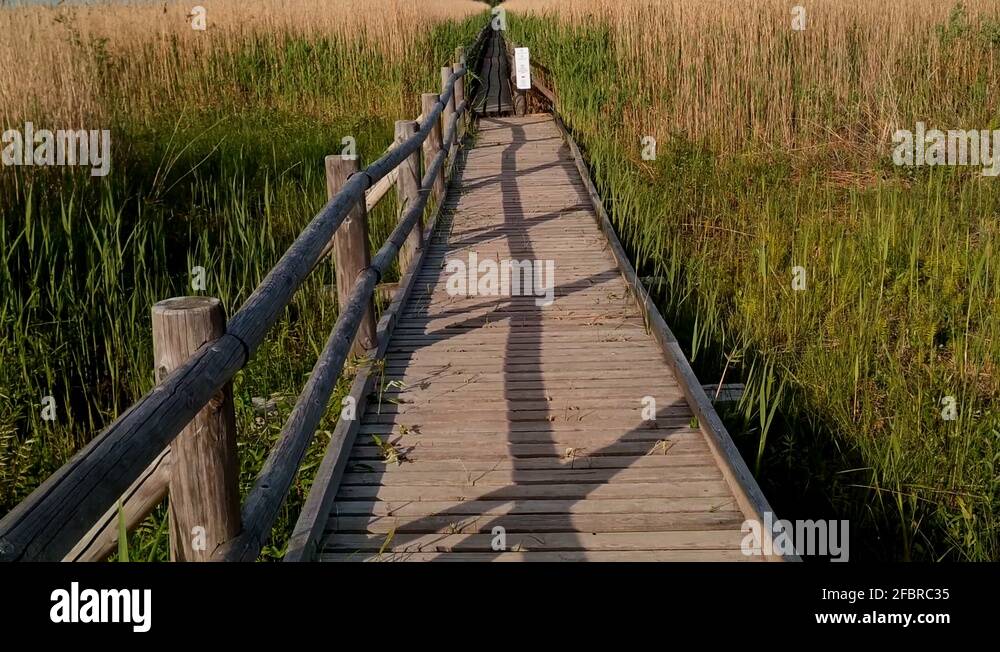 Pathway bridge Stock Videos & Footage - HD and 4K Video Clips - Alamy